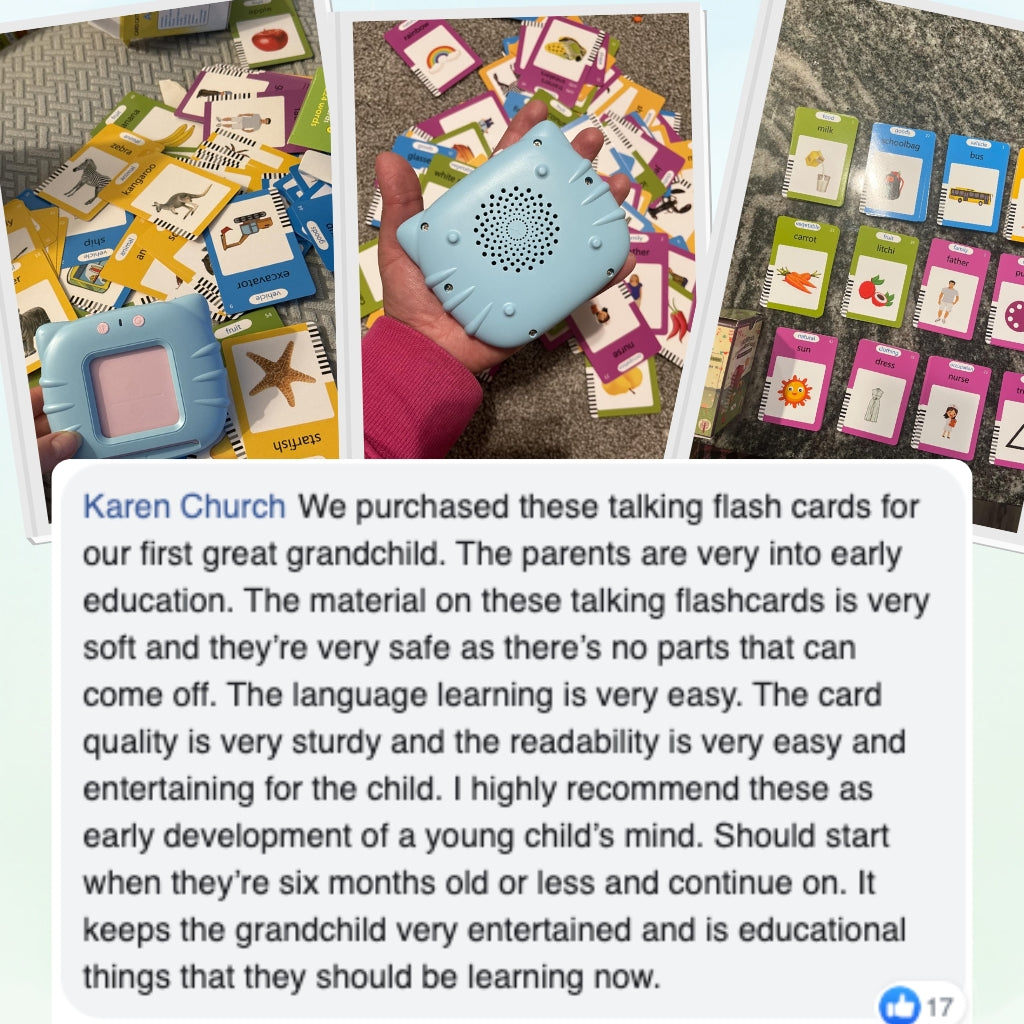 LearnPal™ Talking Flash Cards | Build Verbal Skills Faster – Your Little Explorer